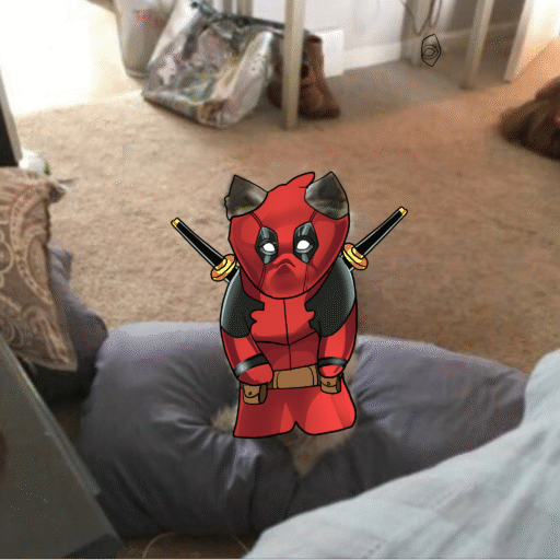 MemeGallery – dogi-cult.com